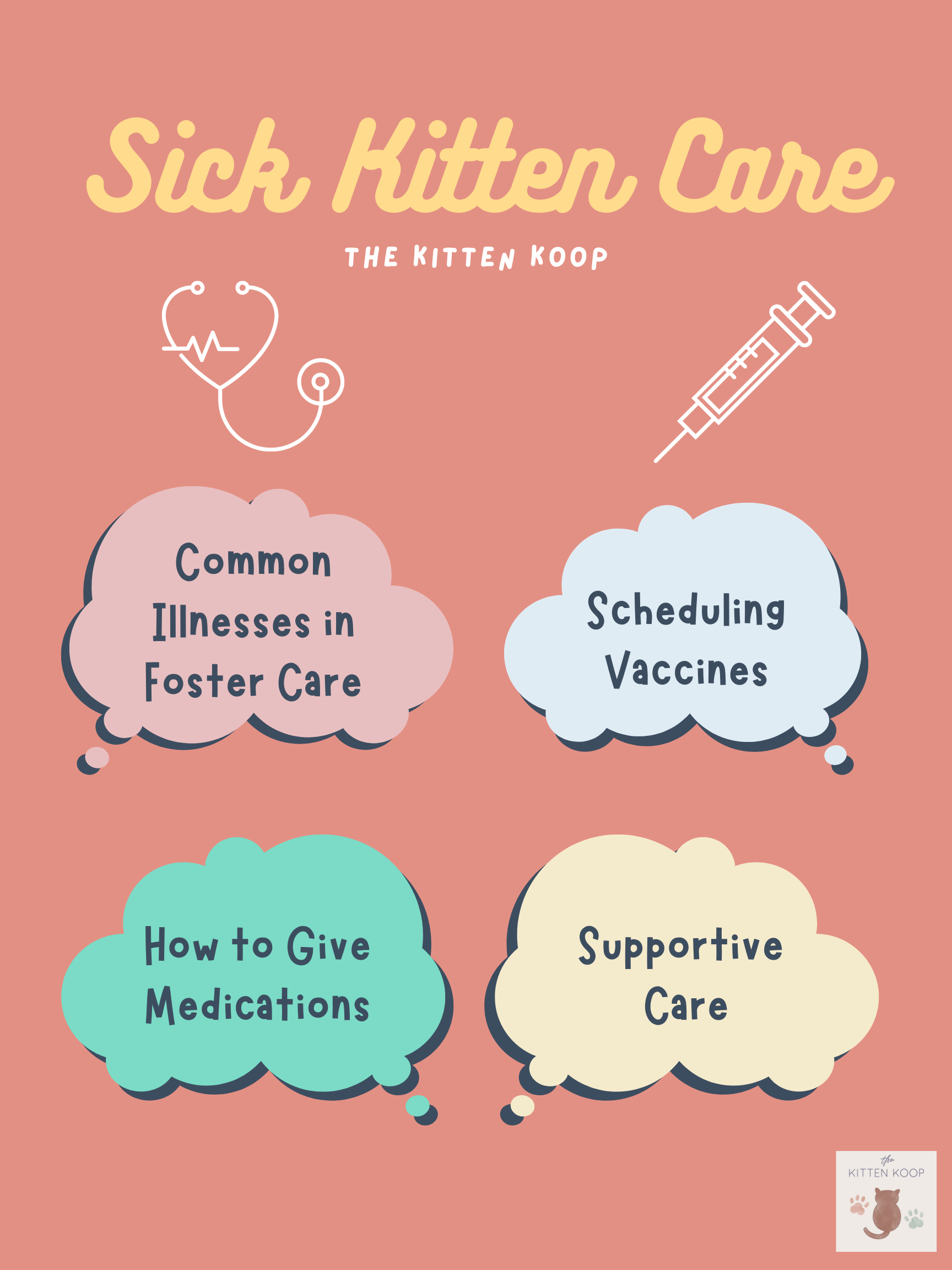 How to Help Sick Foster Kittens – The Kitten Koop