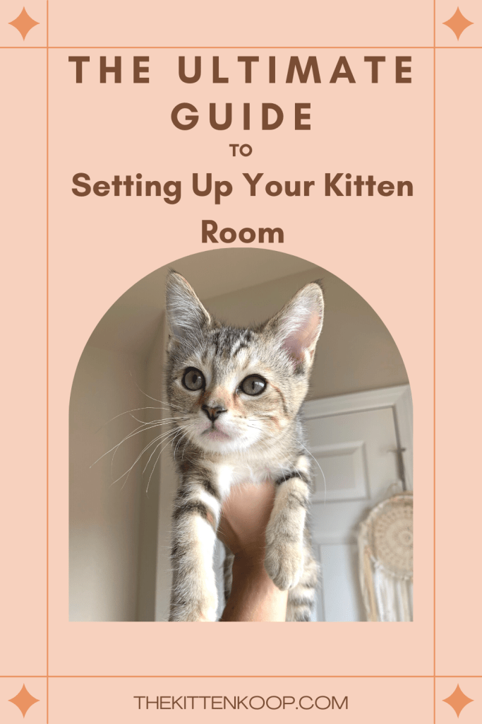 The Ultimate Guide to Setting Up Your Kitten Room – The Kitten Koop