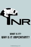 TNR: What it is, Why it is Important, and How to Help – The Kitten Koop